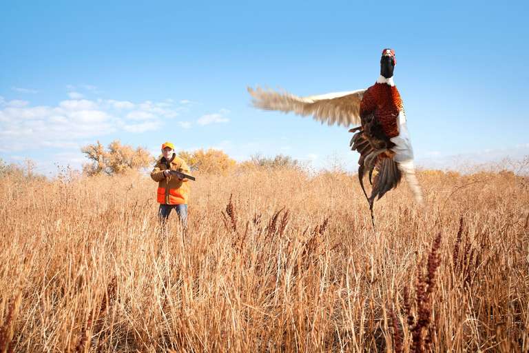 Is I Learn to Hunt a Legitimate Hunter Safety Course? | ilearntohunt
