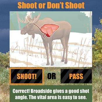 How to Find Hunter Safety Education Near Me | ilearntohunt