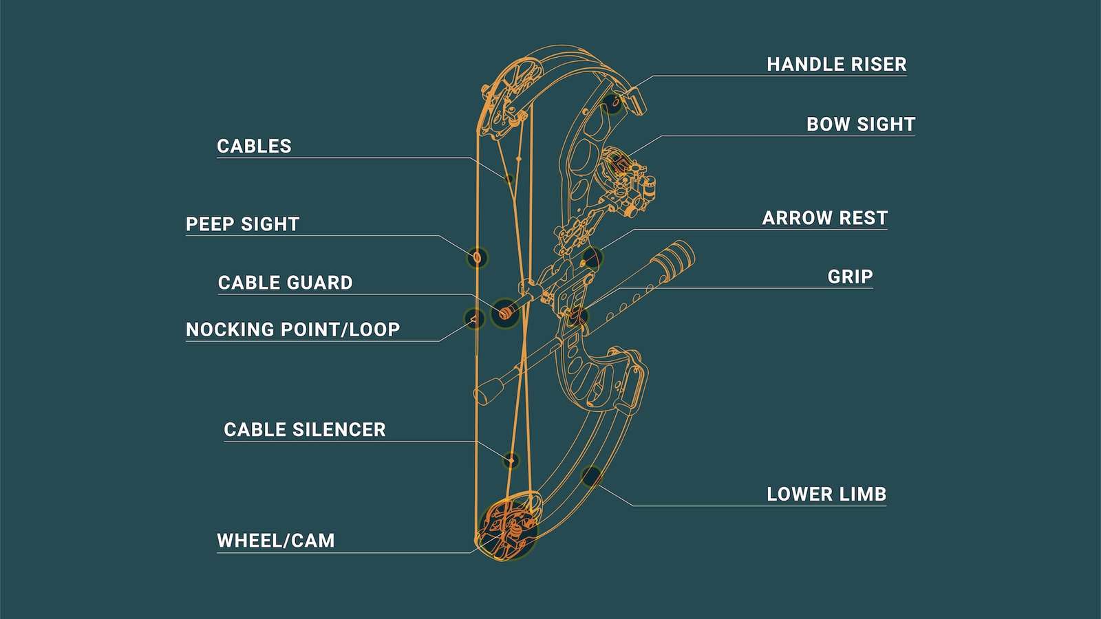 A Guide to Identifying the Parts of a Bow | ilearntohunt