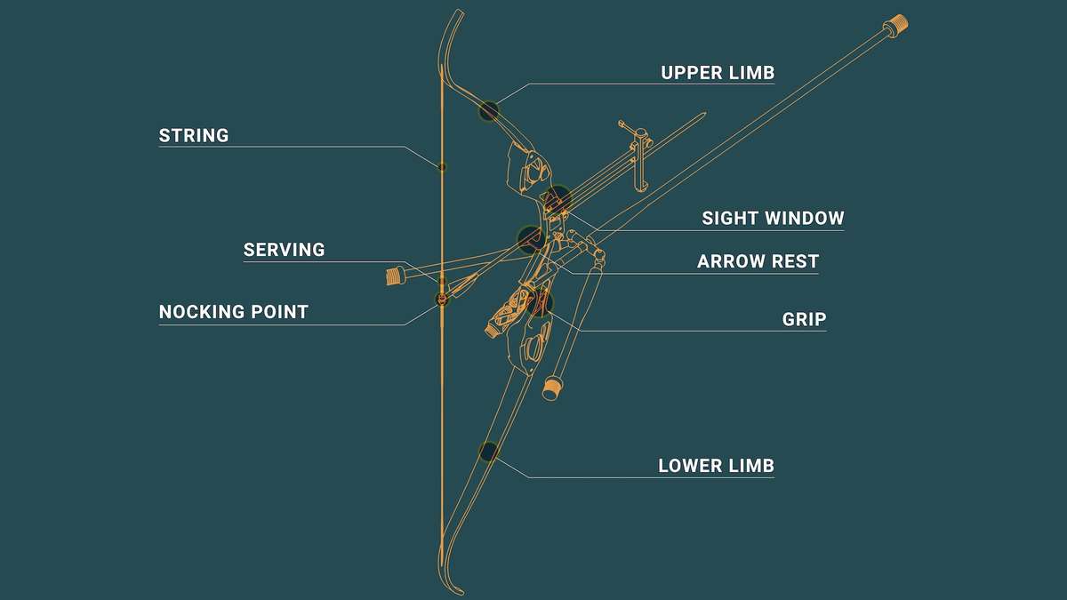 A Guide to Identifying the Parts of a Bow | ilearntohunt