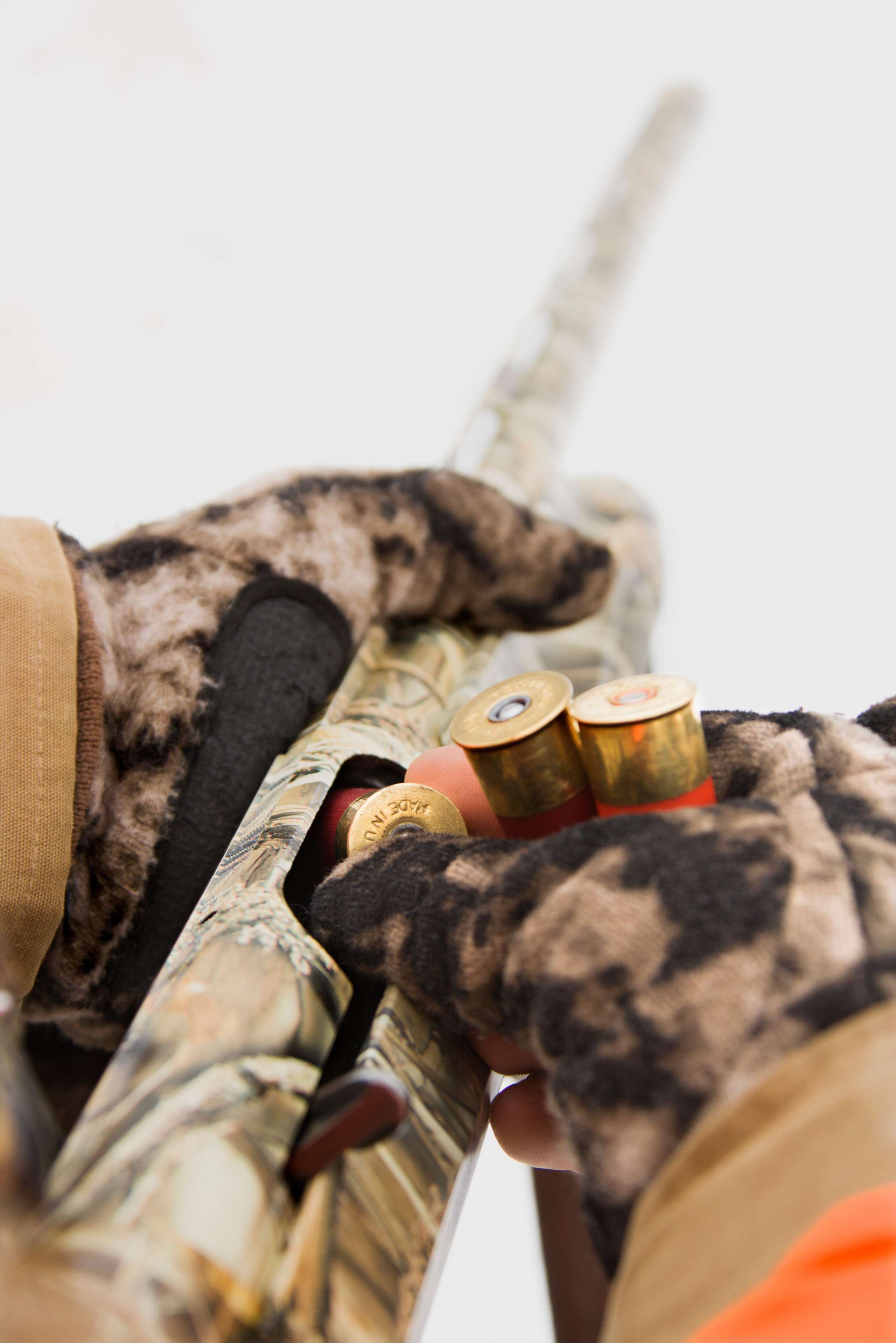 Open Season Hunting: What Does It Mean? | ilearntohunt