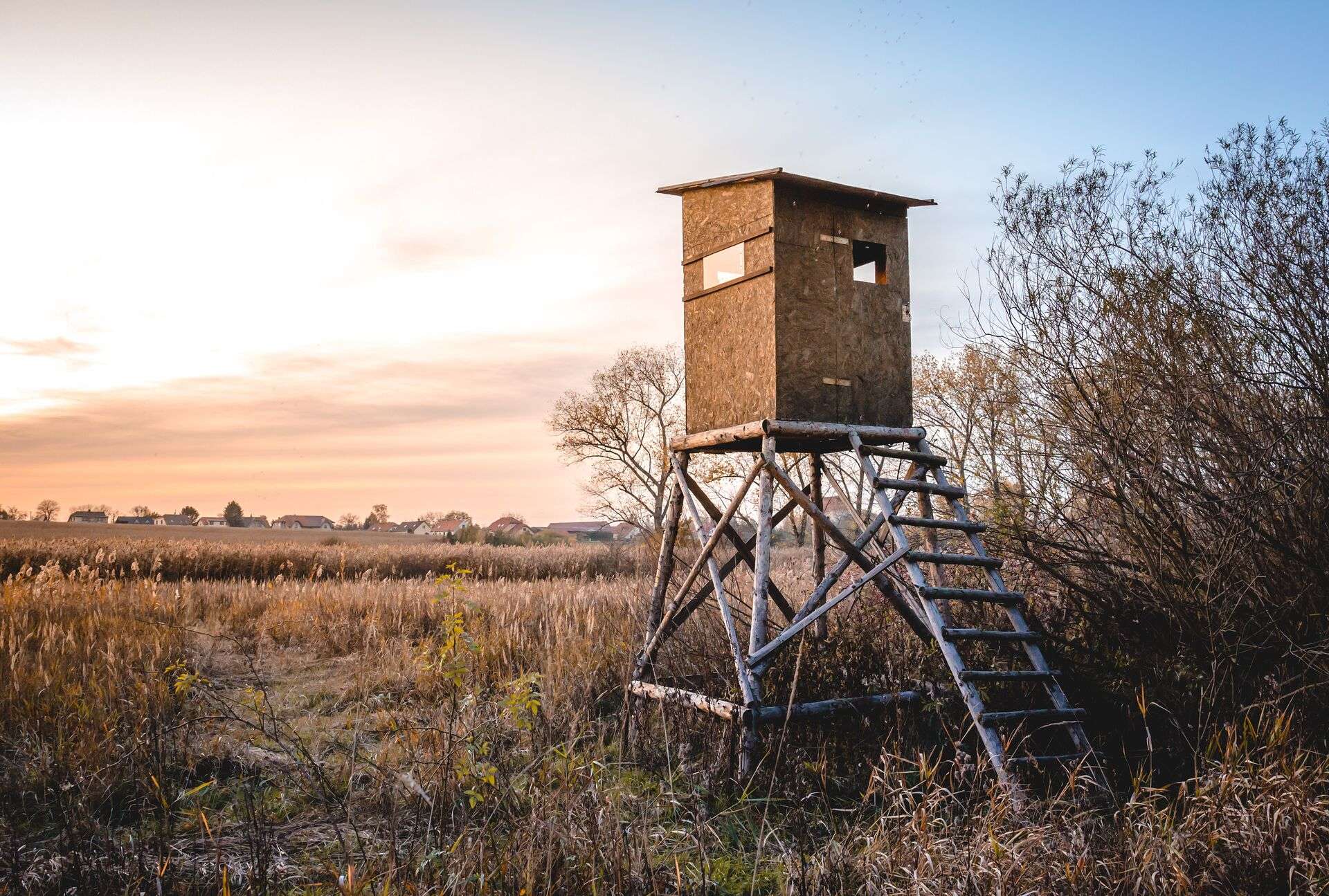 Open Season Hunting: What Does It Mean? | ilearntohunt