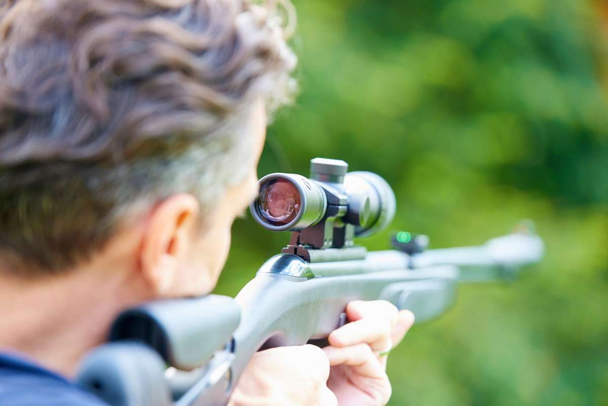 What is the Sight Picture? | ilearntohunt