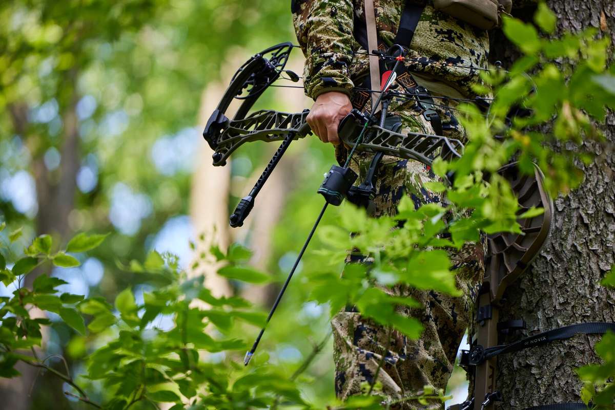 Understanding the Parts of an Arrow | ilearntohunt