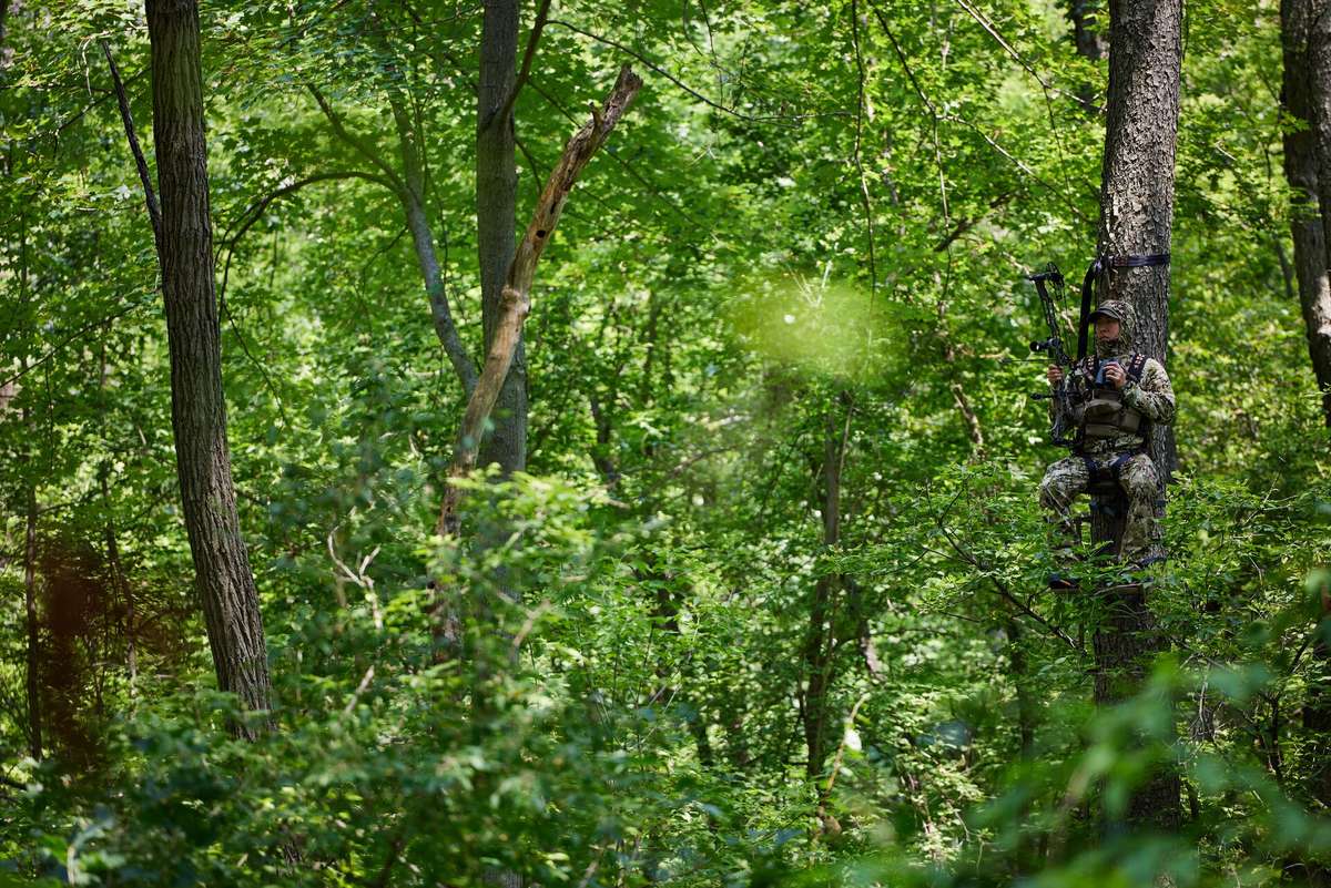 How to Stay Safe in Tree Stands | ilearntohunt