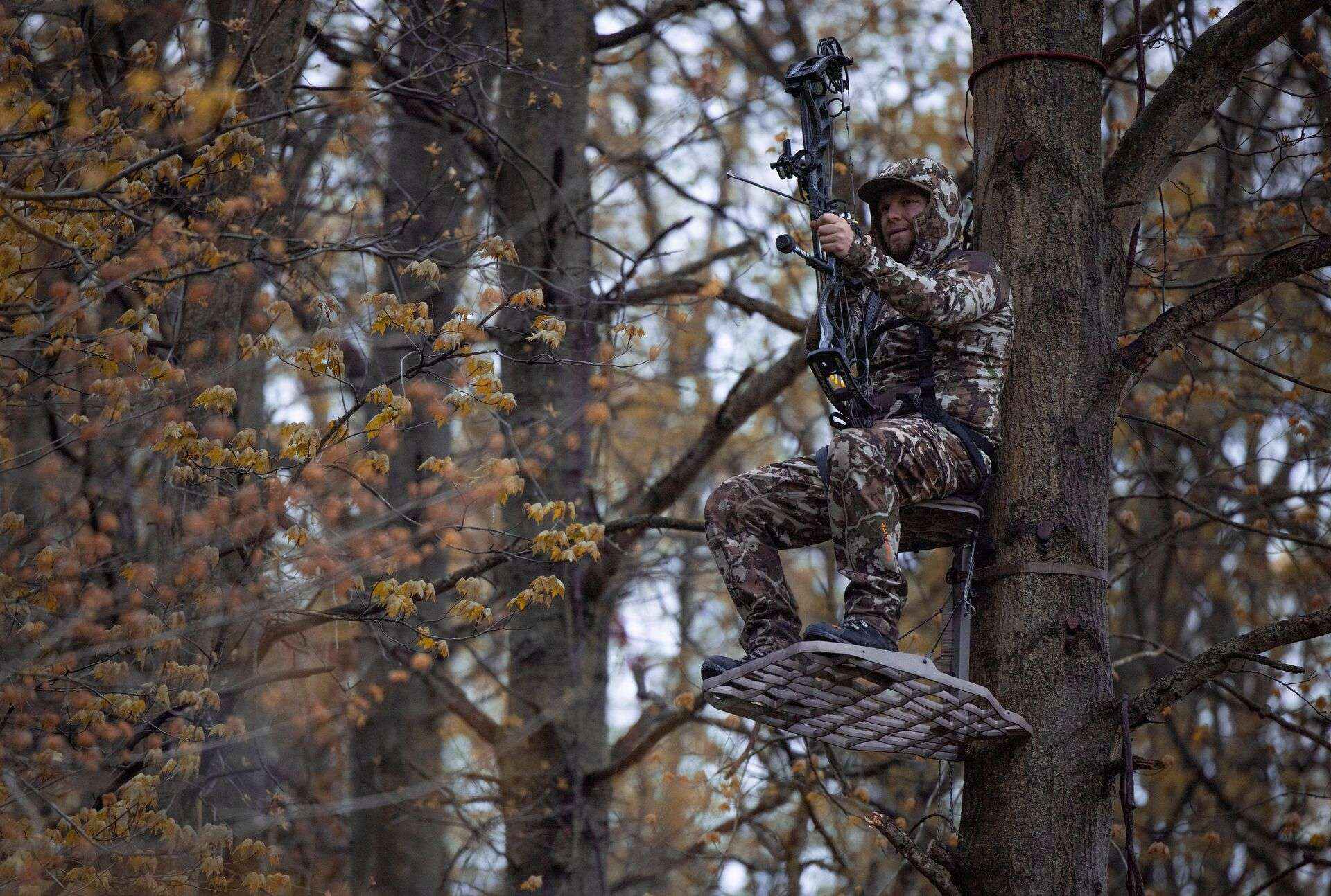 How to Stay Safe in Tree Stands | ilearntohunt