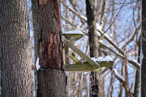 How to Stay Safe in Tree Stands | ilearntohunt