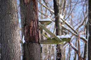 How to Stay Safe in Tree Stands | ilearntohunt