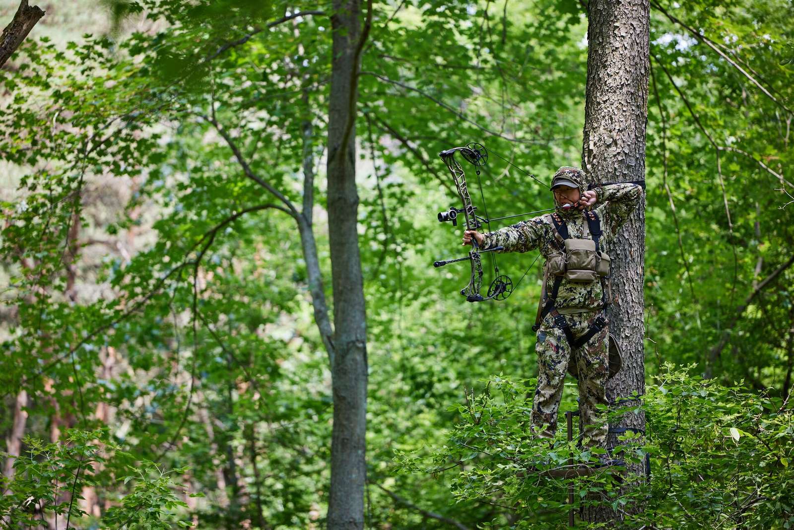 Why You Need a FAS System | ilearntohunt