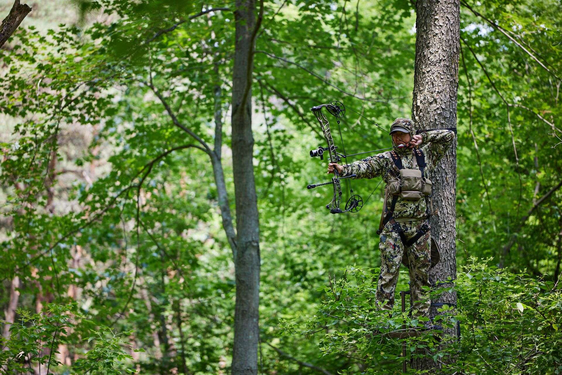 Why You Need a FAS System | ilearntohunt
