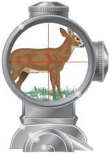What Is Sight Alignment? | ilearntohunt