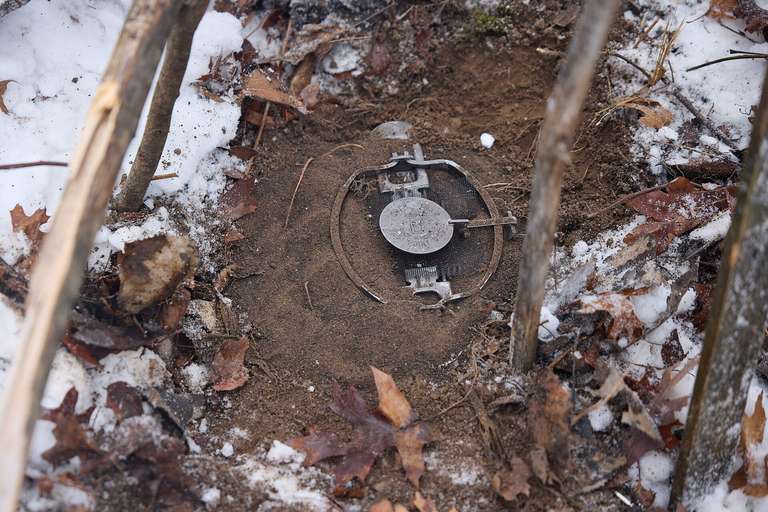 How to Trap Coyotes | ilearntohunt
