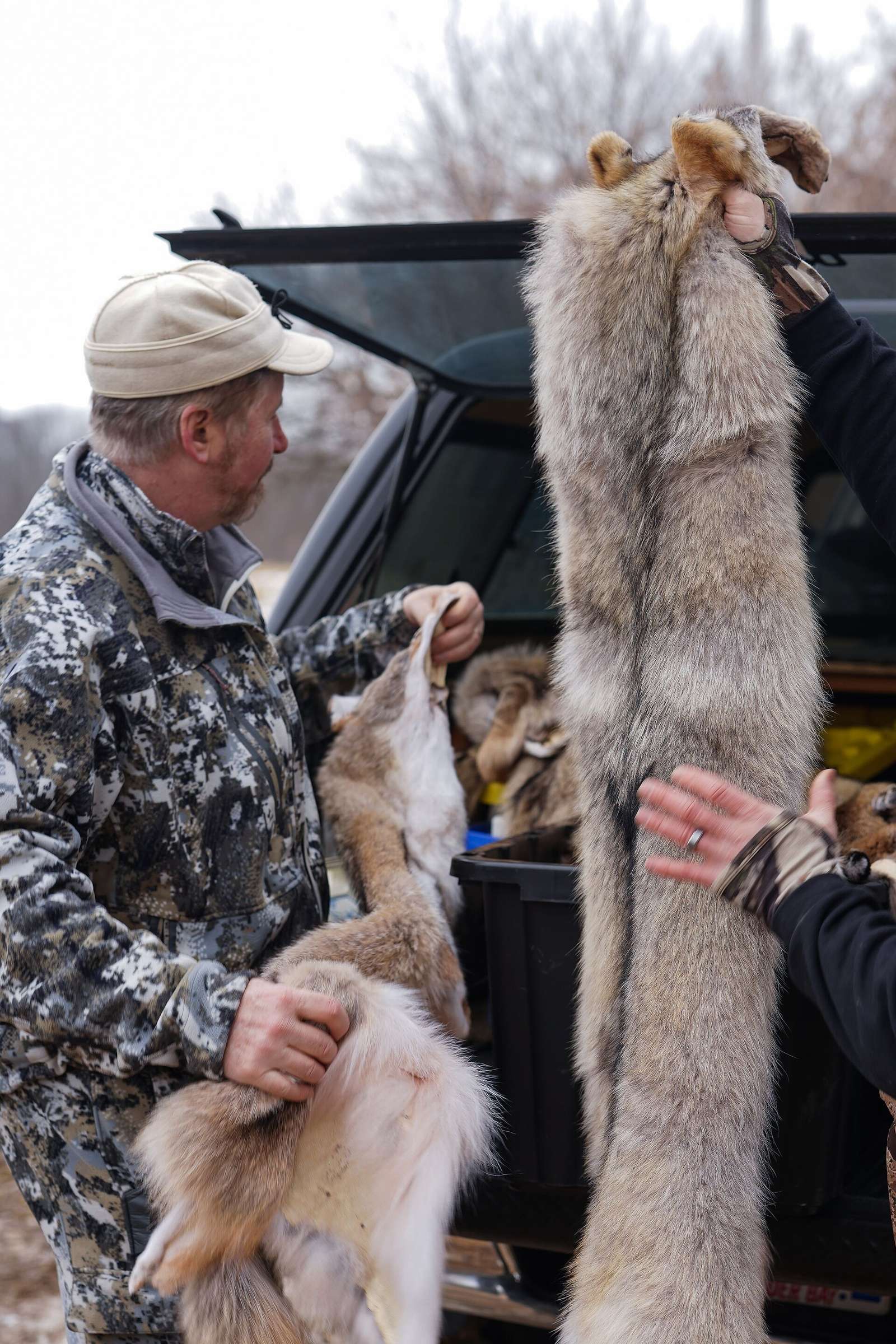 Understanding Coyote Trapping Basics | ilearntohunt