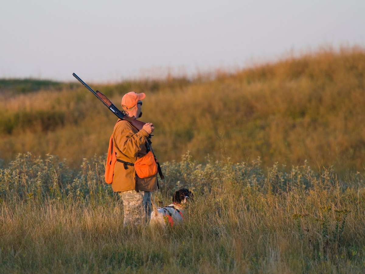 How Can I Learn to Hunt? | ilearntohunt