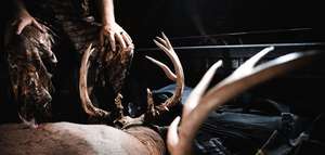 10 Deer Hunting Tips for Beginners | ilearntohunt