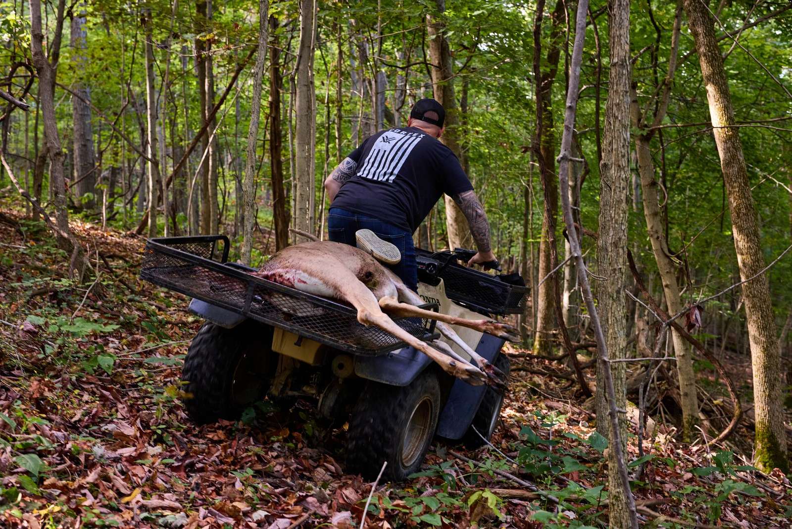 10 Deer Hunting Tips for Beginners | ilearntohunt