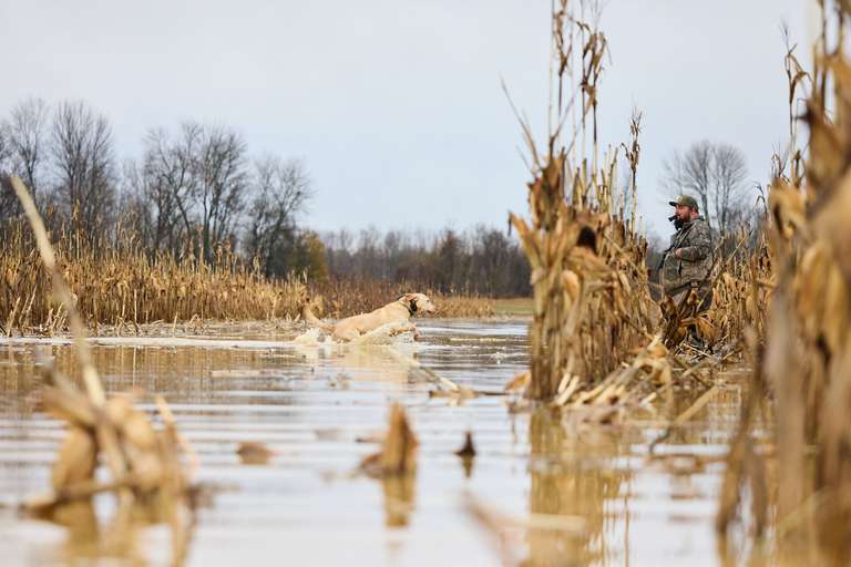 9 Duck Hunting Tips for New Hunters | ilearntohunt